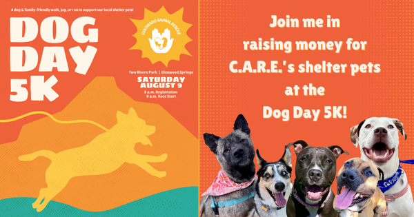 Dog Day 5K